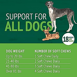 PetNC Natural Care Skin and Coat Soft Chews for Dogs, 60 Count