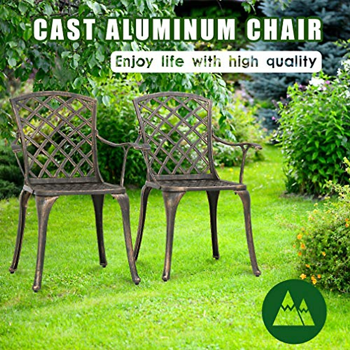 FDW Patio Chairs Dining Chairs Set of 2 Outdoor Chair Wrought Iron Patio Furniture Patio Furniture Chat Set Weather Resistant