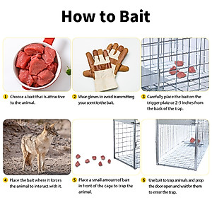 57" Large Humane Live Animal Trap,Collapsible Large Animal Catcher Cage,Cage Traps for Large Dogs up to 55 pounds,Foxes,Coyotes,Bobcat,Similar Sized Animals