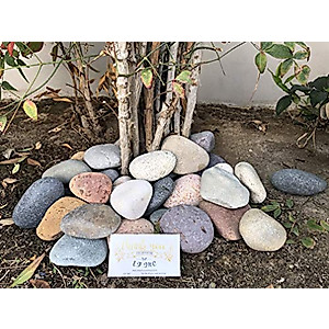 LF Inc. 50 Lb. Premium Large Mixed Mexican Stone Beach Pebbles 3-5 inches, Decor, Garden, Landscape, Pathways, Backyard, Rock Pebbles