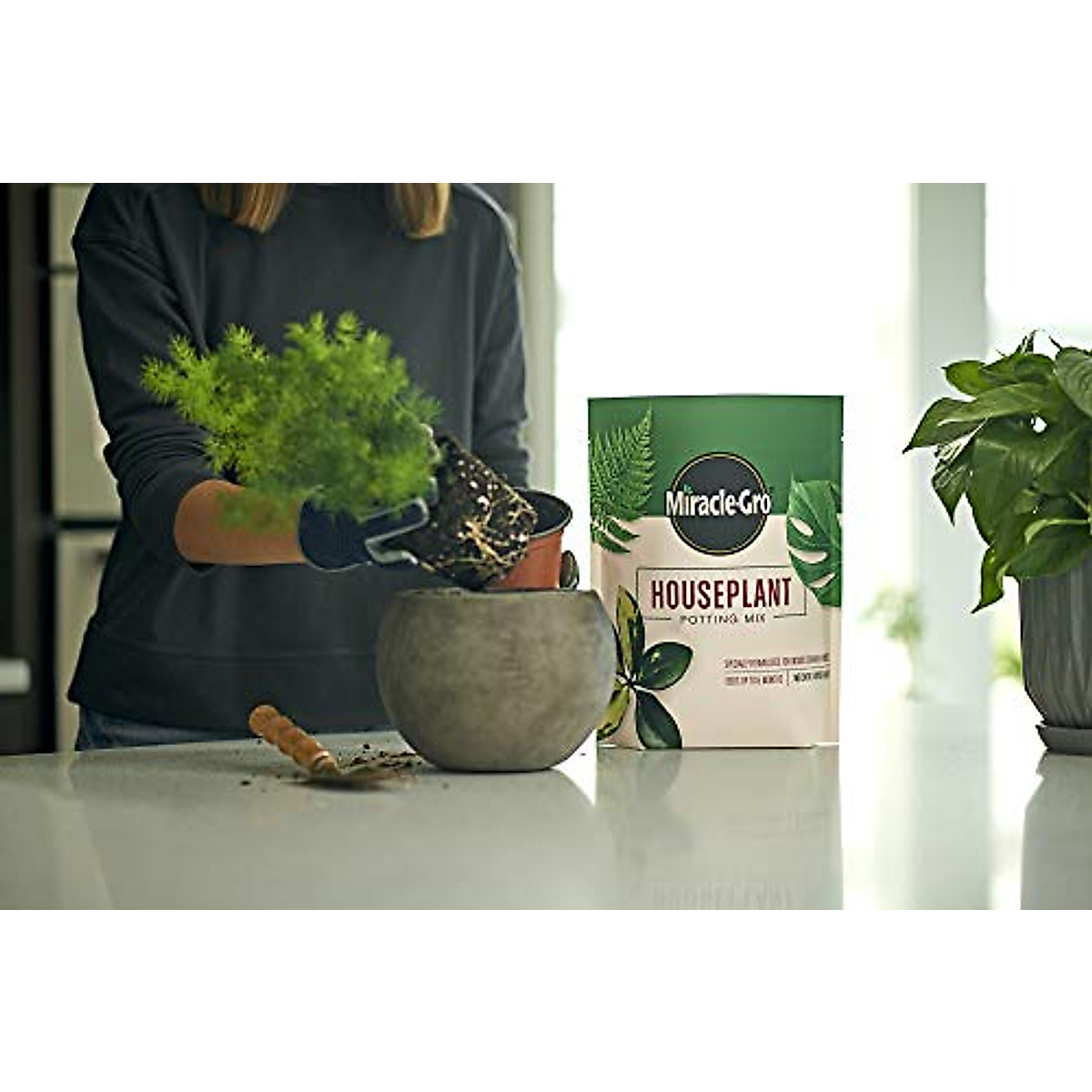 Miracle-Gro Houseplant Potting Mix: Fertilized, Perlite Soil for Indoor Gardening, Designed to Be Less Prone to Gnats, 4 qt.