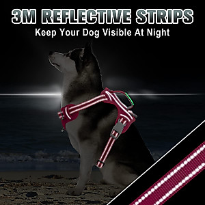 BARKBAY No Pull Dog Harness Large Step in Reflective Dog Harness with Front Clip and Easy Control Handle for Walking Training Running with ID tag Pocket(Pink,L)