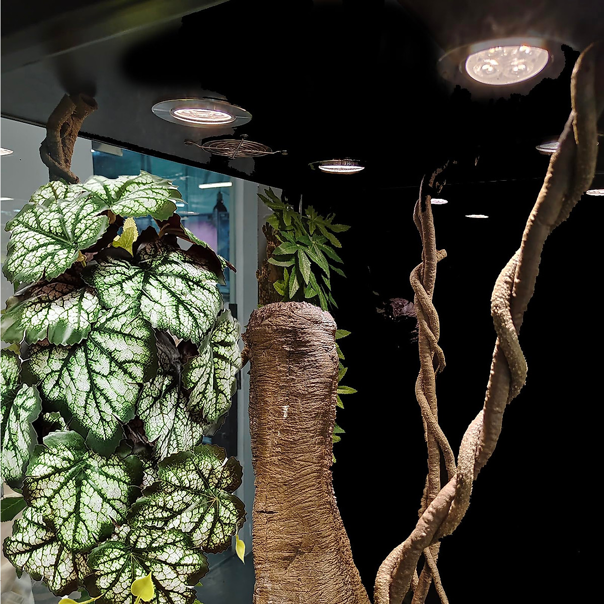 Woyrise Reptile Plants, Terrarium Hanging Plants Vines for Reptile Tank, Amphibian Habitat Leaves Decor with Suction Cups for Bearded Dragon Lizard Snake Gecko Frog Hermit Crab - 2Pack Green Heuchera