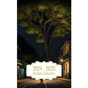 Pocket Calendar 2024-2026: Two-Year Monthly Planner for Purse , 36 Months from January 2024 to December 2026 | Brazilian residential street | Large black tree | Bearded man | Evil presence