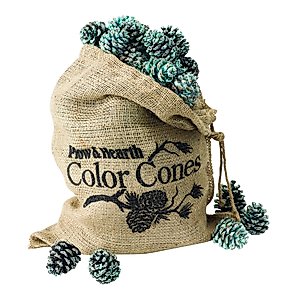 Fireplace and Firepit Color Cones, Festive Fun Rainbow Flame Changing Pine Cones, Firepit Campfire Hearth Wood Burning Accessories for Holidays or Anytime (6 LB in Burlap Bag)