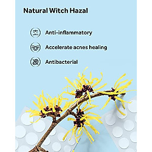 LitBear Acne Pimple Patches- Day and Night 4 Sizes 180 Dots Thin & Thick Hydrocolloid Patches with Witch Hazel, Tea Tree & Calendula Oil, Extra Adhesion Pimple Patches for Face Zit Patch Acne Dots