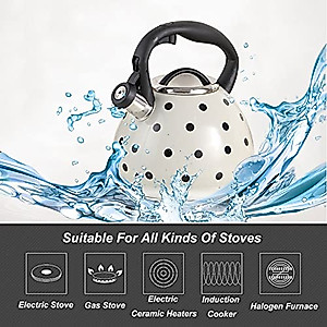 Tea kettle, Red Whistling Tea Kettle for Stove Top, Stainless Steel Cute Teapot with Handle, Induction Cooker Household Kitchen (Color : Red, Size : 3L)