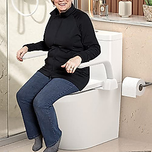 DAILYLIFE Toilet Safety Rail, Heavy Duty (480 LB) Armrest Hand Rail, Can be Folded Up, Aluminum Alloy Support for Elderly Senior Handicap Pregnant