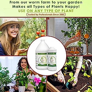 VermisTerra Earthworm Casting Tea - Organic Worm Tea - Gallon - Soil Conditioner Concentrate - Living Enzymes, Nourish Plants and Boost Growth - Feeds All Crops: Vegetables, Flowers, Fruit and Trees