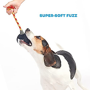 Barkbox Squeaker Ball Toys, Interactive Tennis Balls for Fetch, Training and Exercise, Engaging Plush Toys for Small, Medium, & Large Dogs (F-Bomb, Medium/Large Dog)