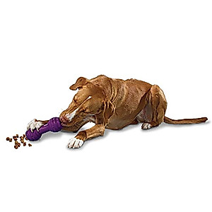 PetSafe Busy Buddy Chuckle Sound Dog Chew Toy - Treat Dispenser, BB-CHK, Purple,Medium/Large