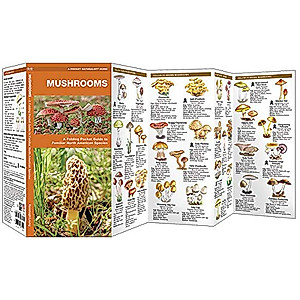 Mushrooms: A Folding Pocket Guide to Familiar North American Species (Nature Observation North America)