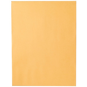 Mead Letter Size Mailing Envelopes, Clasp Closure, All-Purpose 32-lb Paper, 9" X 12", Brown Kraft Material, 100/Pack (CO790)