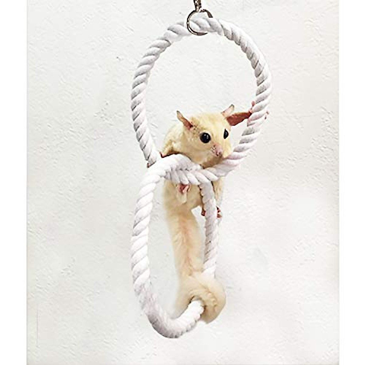 Double Hoop - Hanging Round Two-Level Rope Perch Swing Cage Accessory Toy - Sugar Gliders, Degus, Marmosets, Squirrels, Monkeys, Parrots, Birds, Rats & Other Small Pets