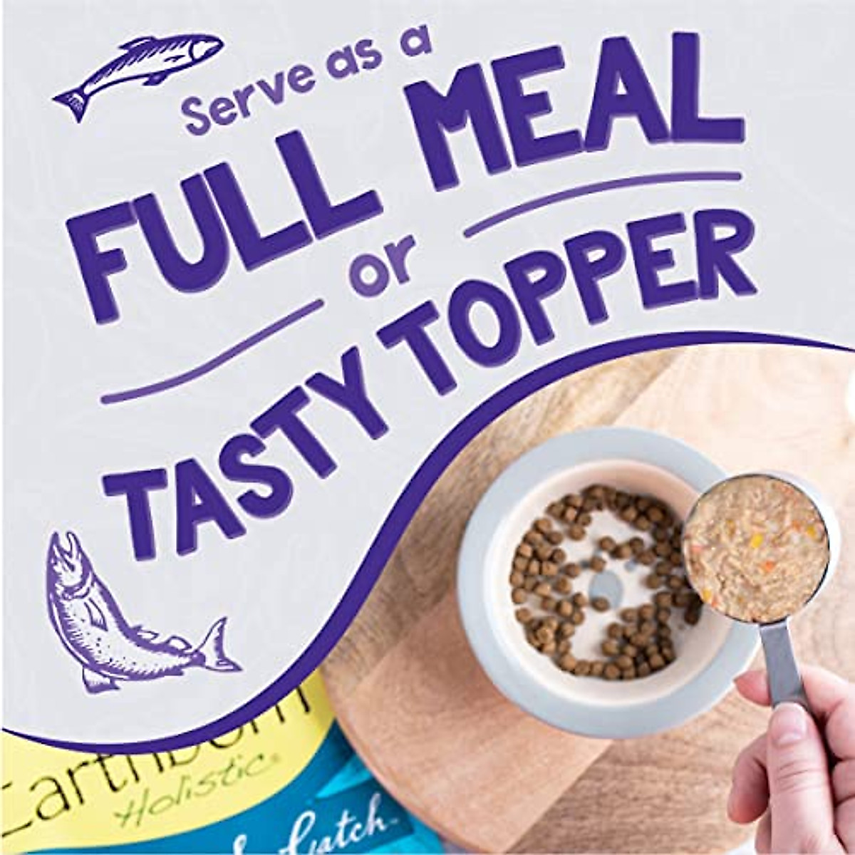 Earthborn Holistic Chicken Fricatssee Grain-Free Moist Cat Food Purple 24 Count (Pack of 1)