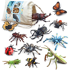 Volnau Bug Toys Figurines 12PCS Insect Animal Figures for Kids Toddlers Decorations Educational Bee Beetle Mantis Spider Ladybug Butterfly Plastic Model