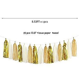 White Gold Champagne Party-Decorations Tassel-Garland -15pcs Christmas Wedding Engagement Tassels Banner Streamers Bachelorette Neutral Birthday Baby Bridal Shower Decor Panduola