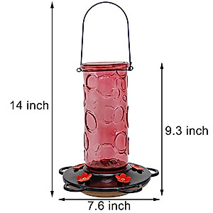 Juegoal 28 oz Glass Hummingbird Feeders for Outdoors, Wild Bird Feeder with 5 Feeding Ports, Metal Handle Hanging for Outdoor Garden Tree Yard, Red
