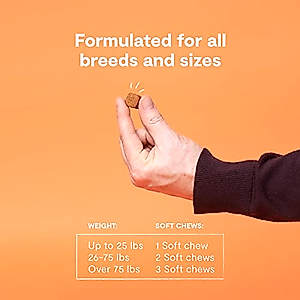 Open Farm Probiotic Chews, Dog Supplement, Dog Vitamins, Supports Normal Flora and Bowel Movement Using Traceable and Vet-Approved Ingredients, 12.7 oz, 90 Count