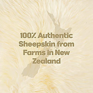 Natural Milan Genuine Sheepskin Area Rugs with Thick and Lush Pile, Fluffy Sheep Fur Rug with Anti-Skid Backing for Bedroom Living Room, Single Pelt, Morchella