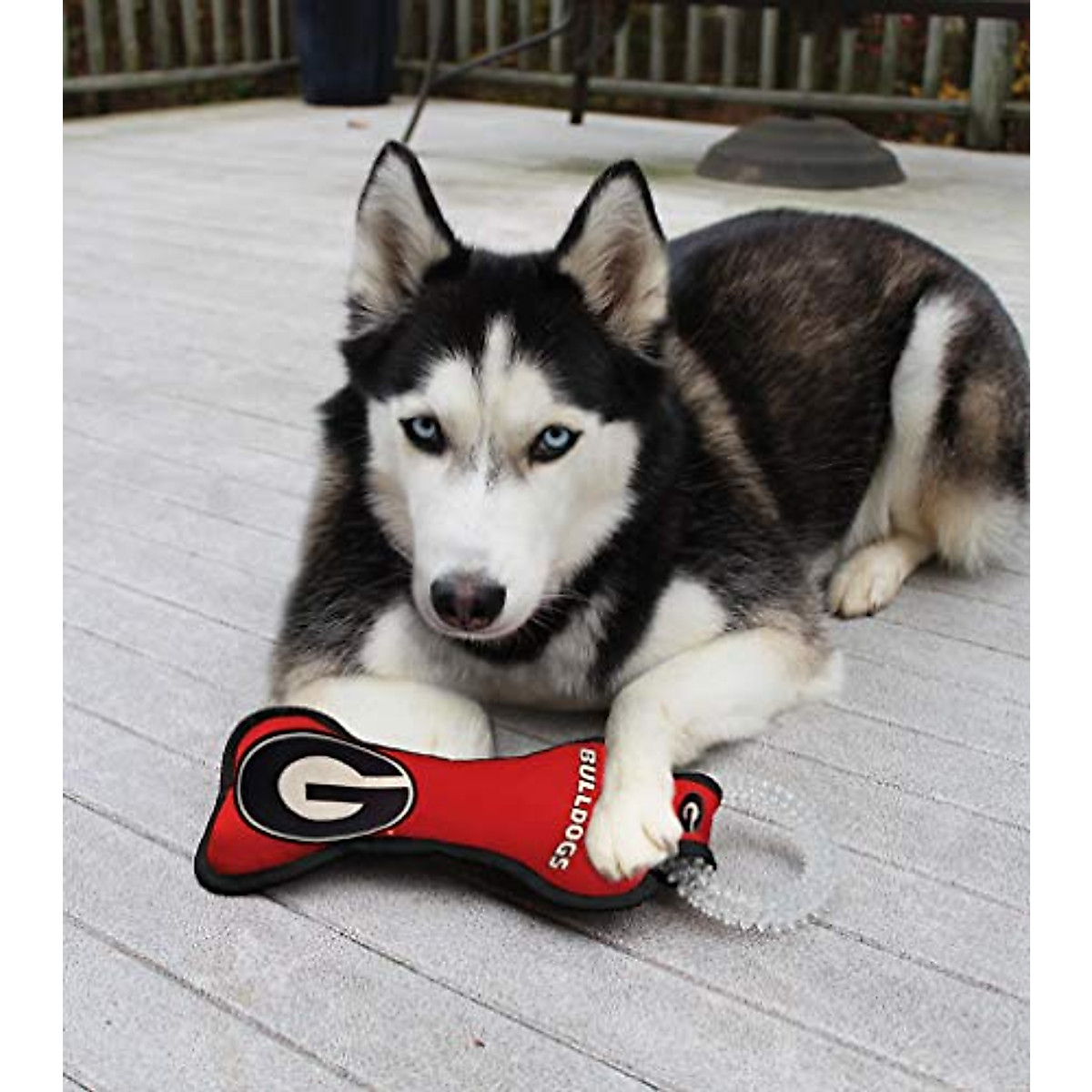 Pets First NCAA Georgia Bulldogs College Dental Tough Dog TUG Bone Toy with Built-in Squeaker Attached to a Safe Rubber Teething Toothbrush PET Toy, Team Color, 14 x 5 (GA-3310)