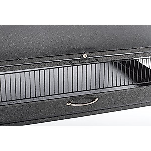 Prevue Pet Products 3352BLK Park Plaza Bird Cage, Black Hammertone, Large