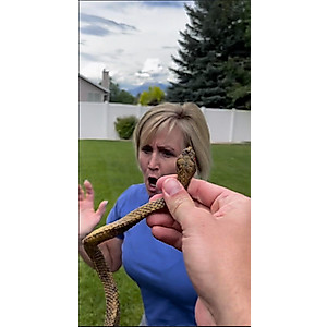 Super Realistic Rubber Brown Snake 50 Inch Long Scare Toy GET Featured by Sending Scare Video to @thescaredlife