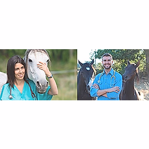 Horse Treats: A to Z Horse Cookies Original Flavor, A Softer Cookie Made with Lite Molasses, Low Carb, Low Sugar, Wheat, Corn, Soy and Alfalfa Free. Made With Organic, All Natural Human Grade Ingredients, May Be Used as a Horse Pill Popper, 4.5 lbs Box