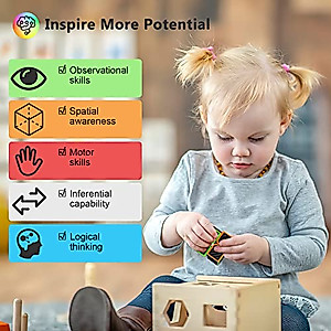 Vdealen Speed Cube Set, Puzzle Cube Bundle of 2x2x2 3x3x3 4x4x4 Pyramid Magic Cube Set, Birthday Party Christmas Stocking Stuffers Gift for Kids Teens Adults(Carbon Fiber Sticker)