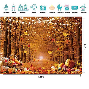 CYLYH 12x10ft Fall Photography Backdrop Autumn Maple Forest Leaves Pumpkin Party Background Thanksgiving Party Supplies Farm Harvest Event Banner Thanksgiving Photo Booth Props CY579