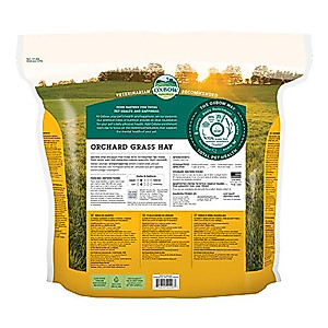 Oxbow Animal Health Orchard Grass Hay - All Natural Grass Hay for Chinchillas, Rabbits, Guinea Pigs, Hamsters & Gerbils - 40 oz.