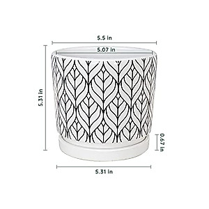 Ton Sin Plant Pots,5.5 Inch White Pots for Indoor Plants with Drainage Holes,Cylinder Flower Pot Ceramic Planters with Saucer,Cactus Succulent Outdoor Garden Pots Set of 4