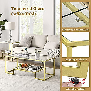 Alohappy Glass Coffee Table Modern Rectangular Coffee Table with 2-Tier Storage Shelf and Sturdy Metal Frame Center Table Easy Assembly for Living Room