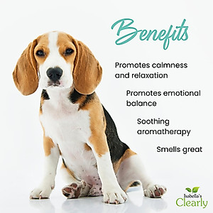 Natural Calm & Happy Oil for Dogs - Pet Safe Essential Oils with Lavender, Petitgrain and Neroli - Calming and Soothing for Stress, Anxiety, Hyperactivity | Natural Pet Product Made in USA