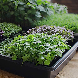 Minute Soil - Compressed Coco Coir Fiber Grow Medium - 1 Block = 15 Gallons of Potting Soil (Approx Wheelbarrow Full) - Gardening, Flowers, Herbs, Microgreens - Add Water - Peat Free - OMRI Organic