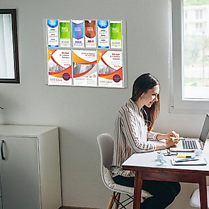 Barydat Acrylic Brochure Holder Wall Mount Plastic Magazine Display Clear Literature Rack Acrylic Pamphlet Holder Wall Mount Flyer Brochure Organizer, 3 Magazine Pockets, 6 Pamphlet Pockets