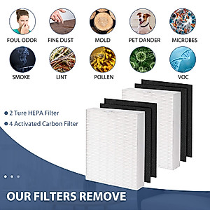 Mchillnet Air108 Filter Replacement Compatible with AirInstinct Air Purifiers 75, 100, 108, 150, 200, Including 2 Ture HEPA Filters and 4 Carbon Filters