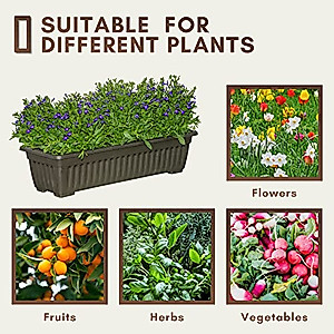 G TALECO GEAR Vertical Garden Planter, 4-Tier Vertical Raised Garden Bed, Vertical Elevated Planter for Indoor and Outdoor, Perfect for Vegetables Flowers