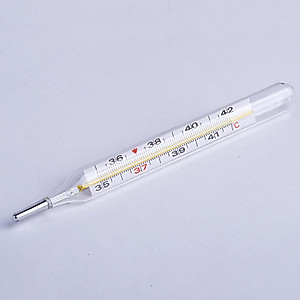 Healifty 2Pcs Mercury General Use Temperature Testing Tools