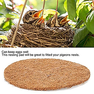zhuolong 10PCS Bird Nesting Pads Natural Coconut Fiber Parrots Breeding Nests Bird Eggs Mat Breathable Dry Grass Mattress Provides Warm Hut Material Comfortable Bedding for Birds Pigeons