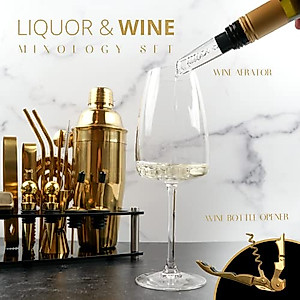 Mixology Bartender Kit – 24 Piece Gold Cocktail Shaker Set w/Stand – Essential Home Bar Accessories Martini Shaker, Jigger, Muddler, Chilling Cubes & More