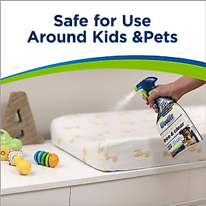 Bissell Woolite Free & Clear, Pet Stain & Odor Remover, 22oz (Pack of 2), 2719