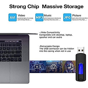 RAOYI 5 Pack 64GB USB Flash Drive, USB 2.0 Memory Stick Thumb Drives Jump Drive Pen Drive for PC Laptop Computer - 64G Multipack