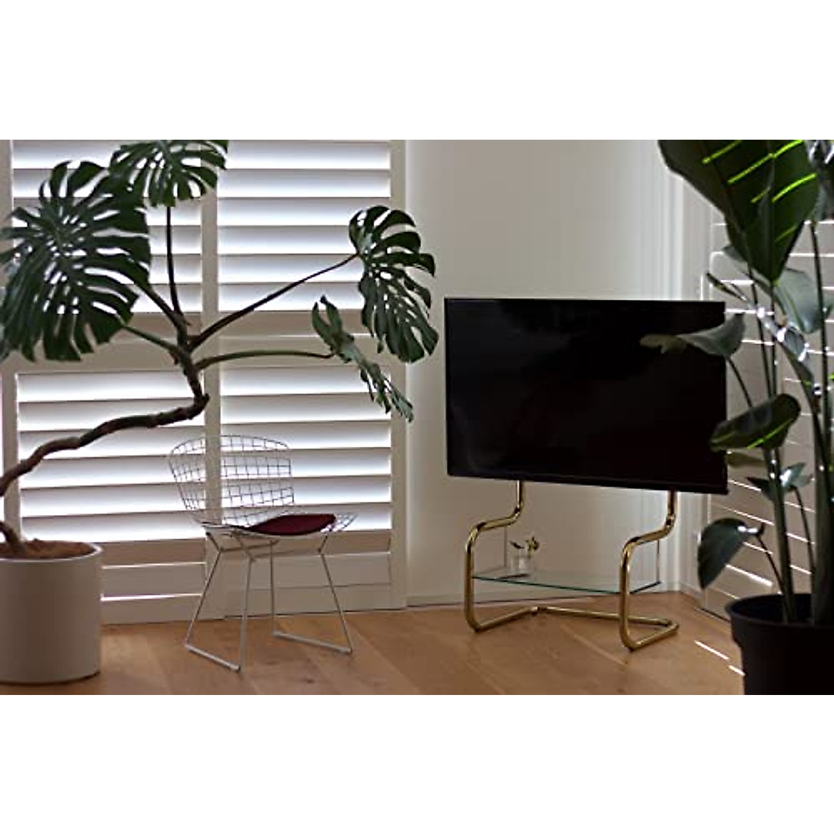 zeitgeist TV Stand Modern Minimalist w/Shelf Floor Stand Metal up to 65 inch for Corner, Living, Studio. Height Adjustable Mount, Portable. w/HDMI, Antenna, Power Cable pre-Installed. Brass Gold