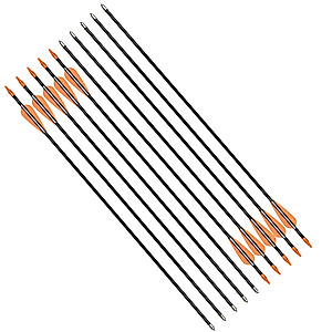 Practice Fiberglass Arrows Archery 30 Inch Target Shooting Safetyglass Recurve Bows Suitable for Youth Children Woman Beginner 6PCS