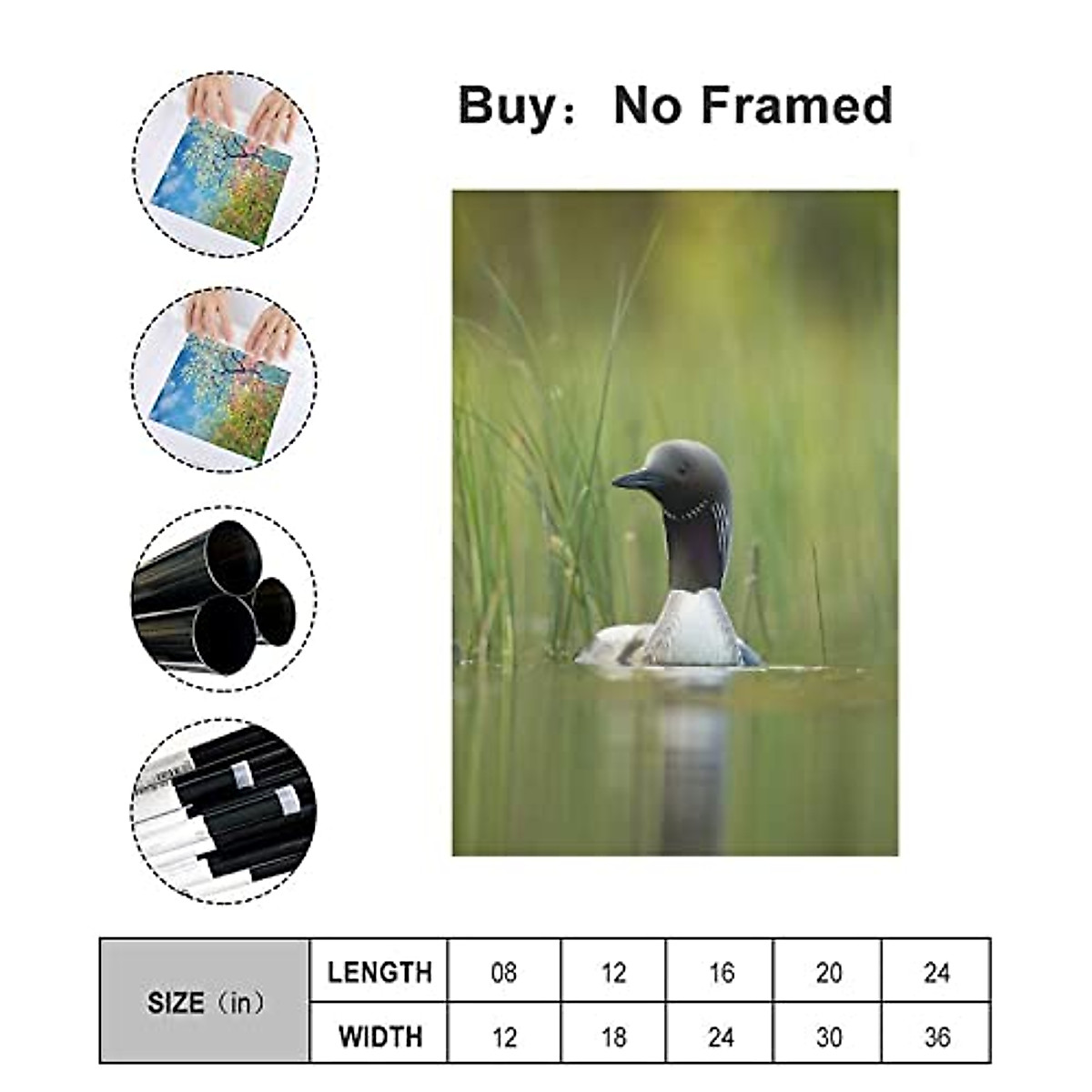 Black Throated Loon Birds Canvas Poster Bedroom Decor Sports Landscape Office Room Decor Gift,Canvas Poster Wall Art Decor Print Picture Paintings for Living Room Bedroom Decoration 8x12inchs(20x30cm)