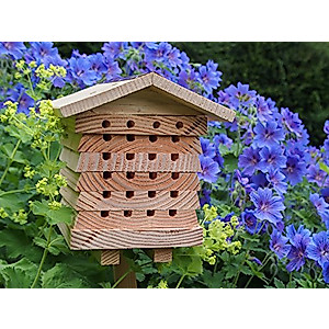 Wildlife World Interactive Wooden Bee House - Pollinator Bee Management System
