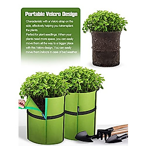 Kalolary 10 Gallon Potato Grow Bags, 3PCS Portable Grow Pots with Flap and Handles Planting Grow Bag with Visible Window, Nonwaven Fabric Garden Plant Bags for Vegetable Fruits, 10PCS Planting Labels