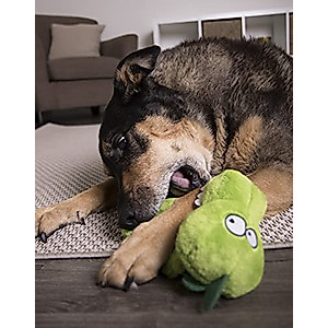 Hear Doggy Flatties with Chew Guard Technology Dog Toy, Gator, Large, Green, Model:58546