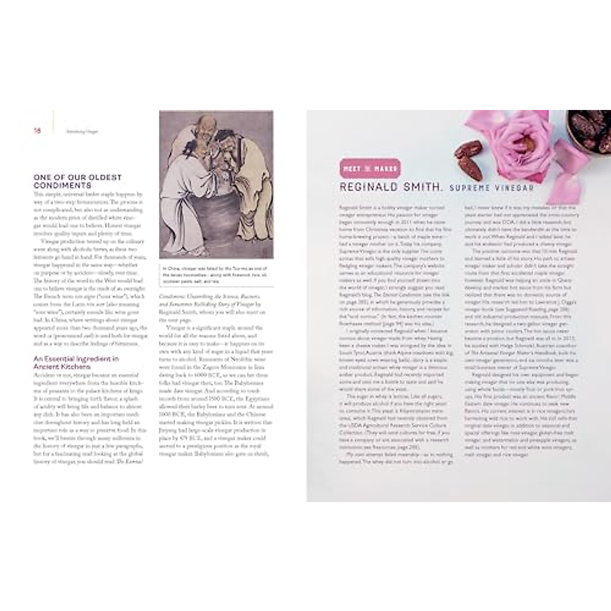 Homebrewed Vinegar: How to Ferment 60 Delicious Varieties, Including Carrot-Ginger, Beet, Brown Banana, Pineapple, Corncob, Honey, and Apple Cider Vinegar